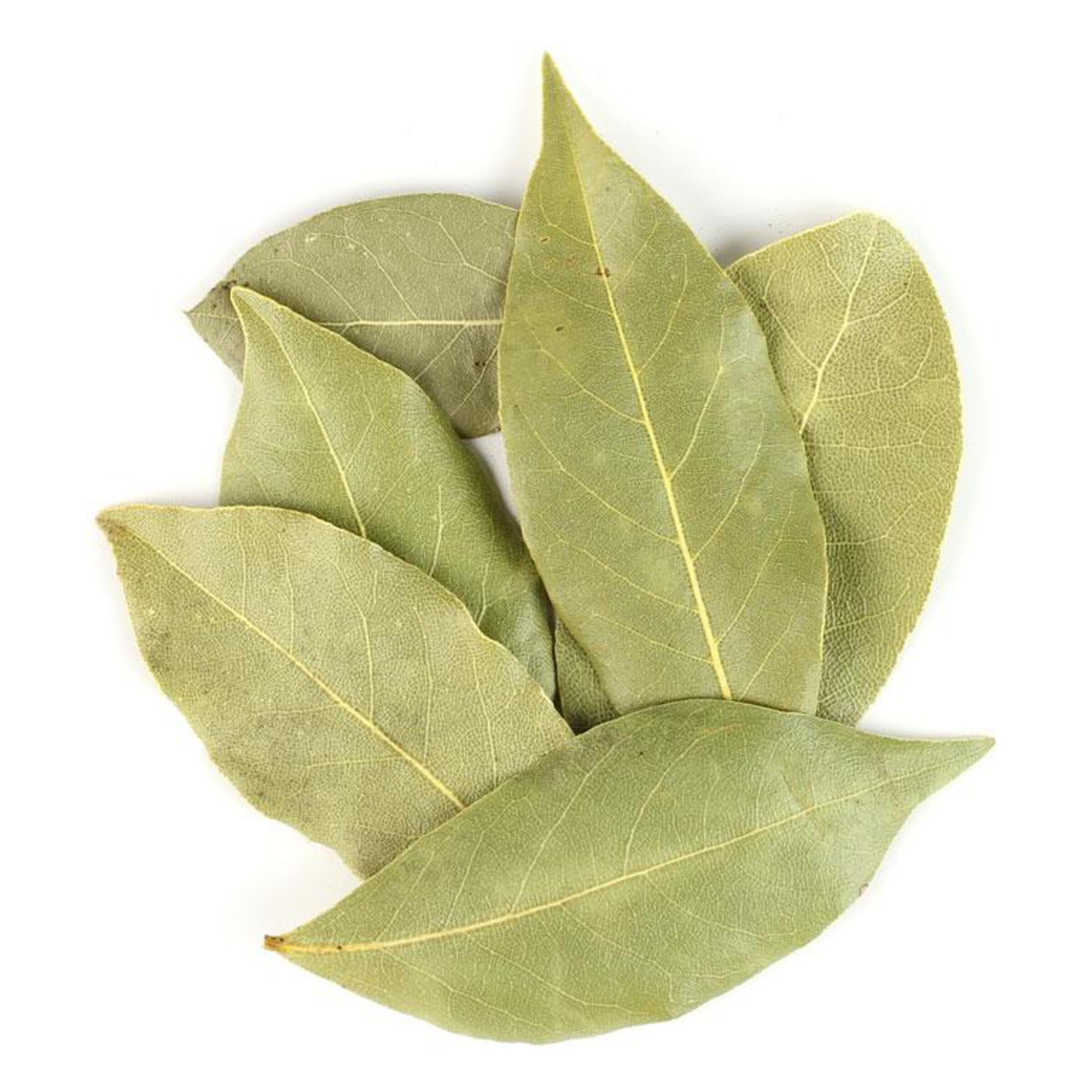 Bay Leaf – The Four of Wands